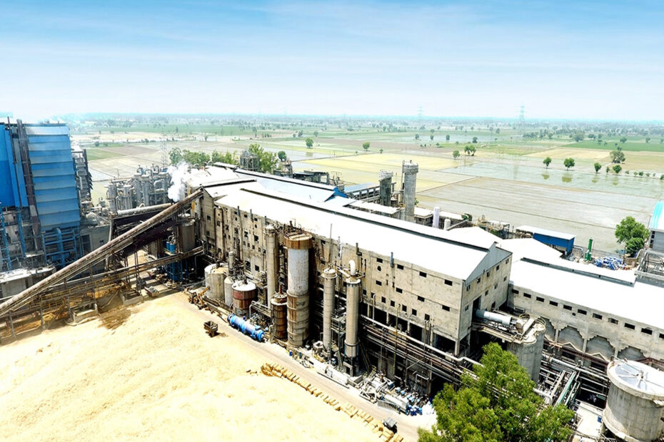 Pulping – Satia Industries Ltd.